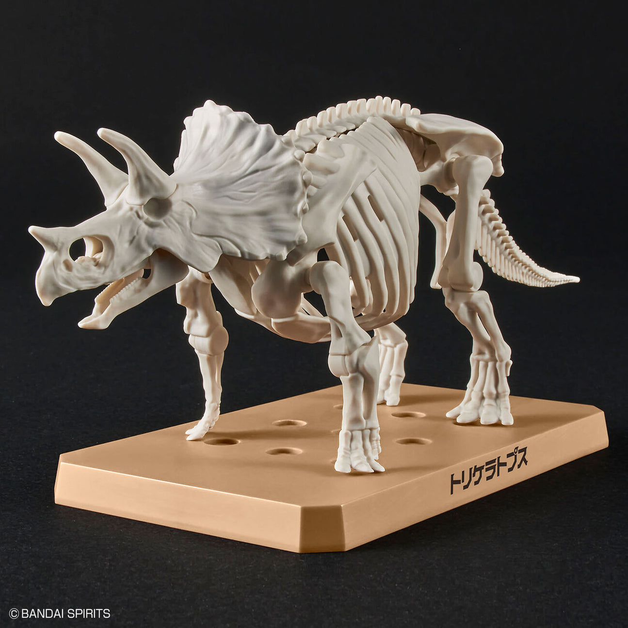Dinosaur Plastic Model Kit Plannosaurus Triceratops — Panda Hobby