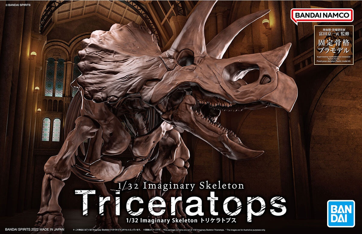 Imaginary Skeleton Triceratops 1/32 — Panda Hobby